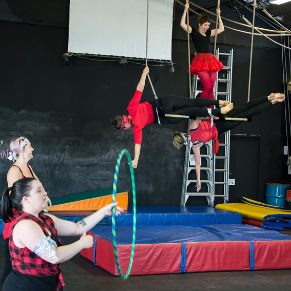 New Crew - Women's Circus